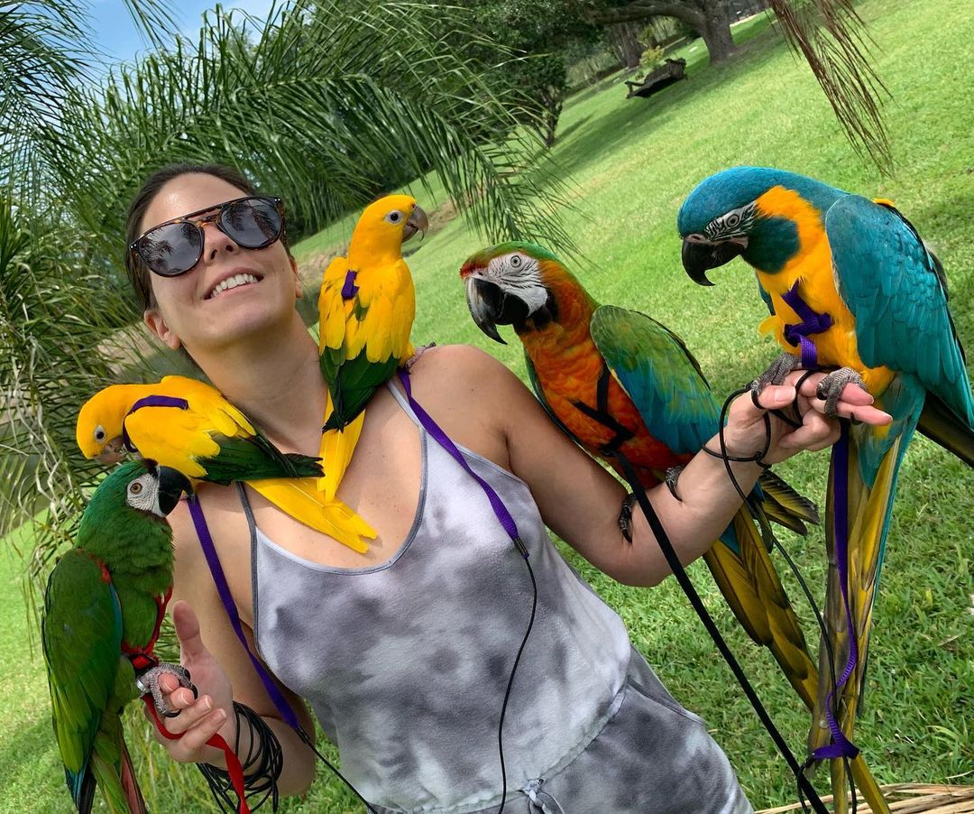 Home - Parrots For Adoption | Free Parrots For Adoption